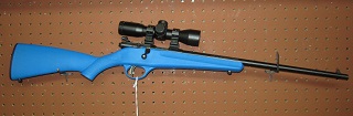 Savage Rascal Blue 22lr - DanChasse.com